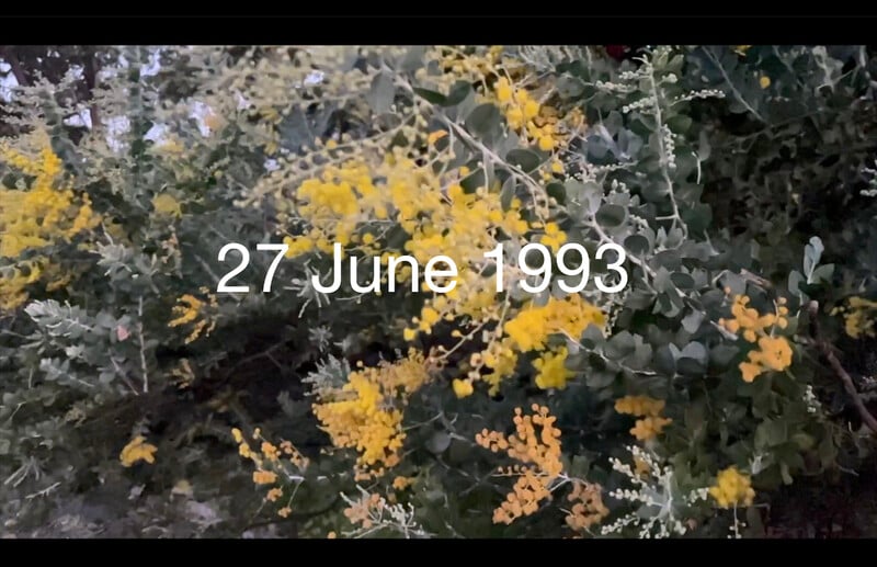 June 27 1993 – INDIE SHORT FEST