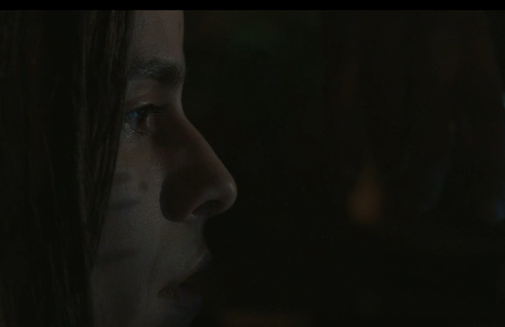 Anthology of the Natural State – Lonely at night – INDIE SHORT FEST