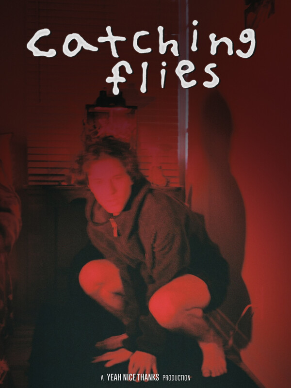 Catching Flies – INDIE SHORT FEST